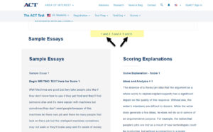 High School and Middle School ELA Essay Revision Stations - Building ...
