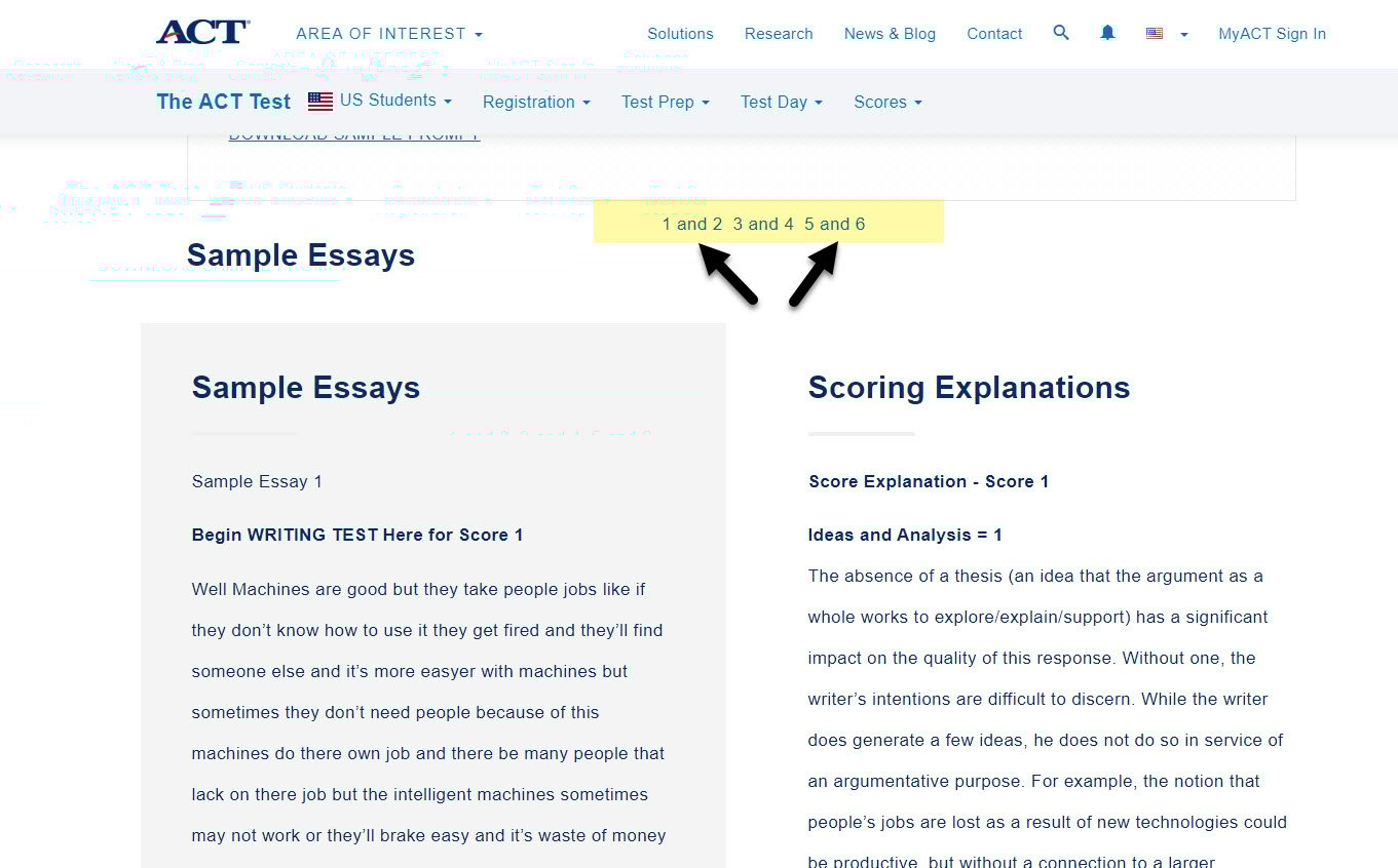 High School and Middle School ELA Essay Revision Stations - Building ...