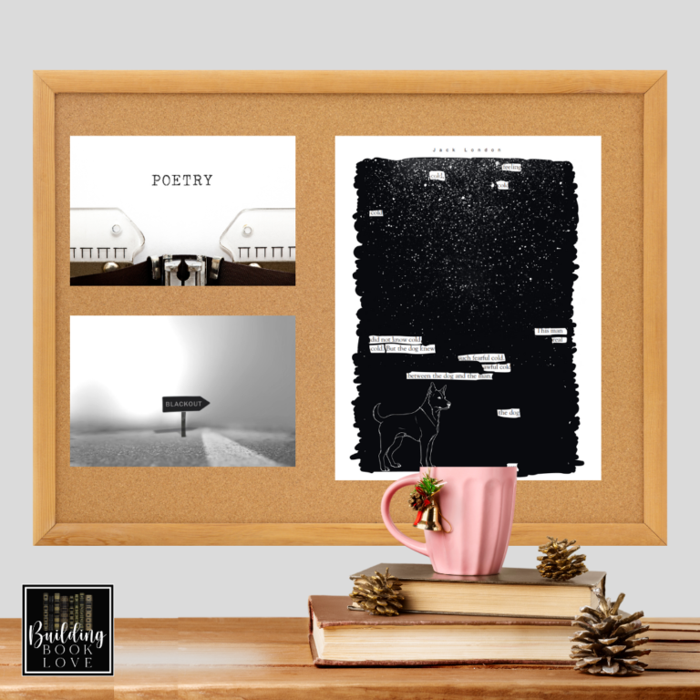 Diverse Christmas Short Story Pairings - Building Book Love