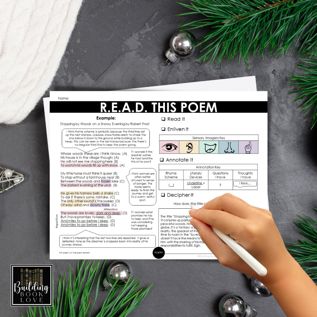 Diverse Christmas Short Story Pairings - Building Book Love