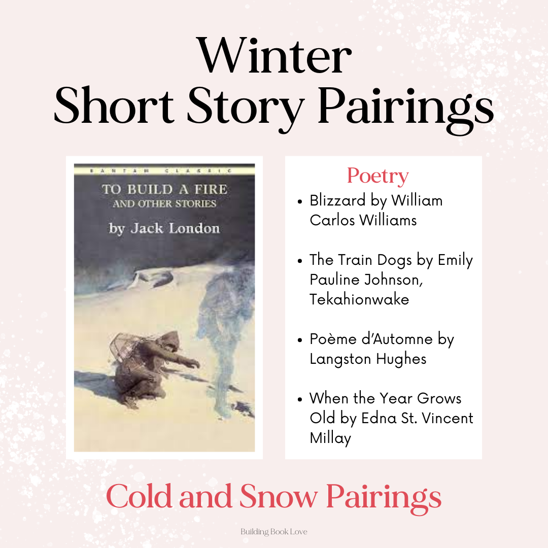 Diverse Christmas Short Story Pairings - Building Book Love