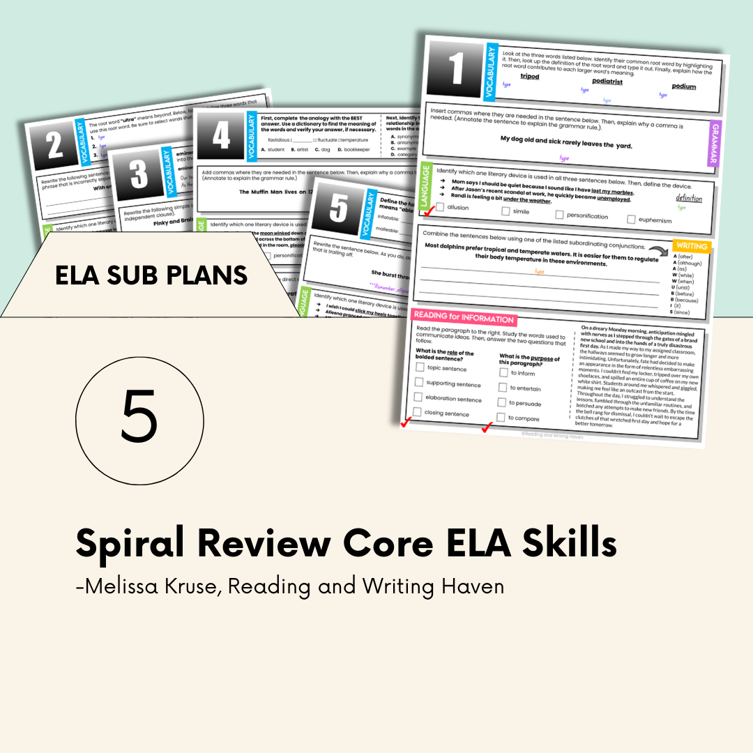 ELA Emergency Sub Plans for Middle School and High School English ...