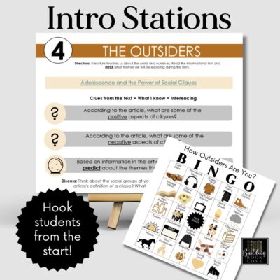 The Outsiders Lesson Plans: Activities, Themes, & Ideas - Building Book ...